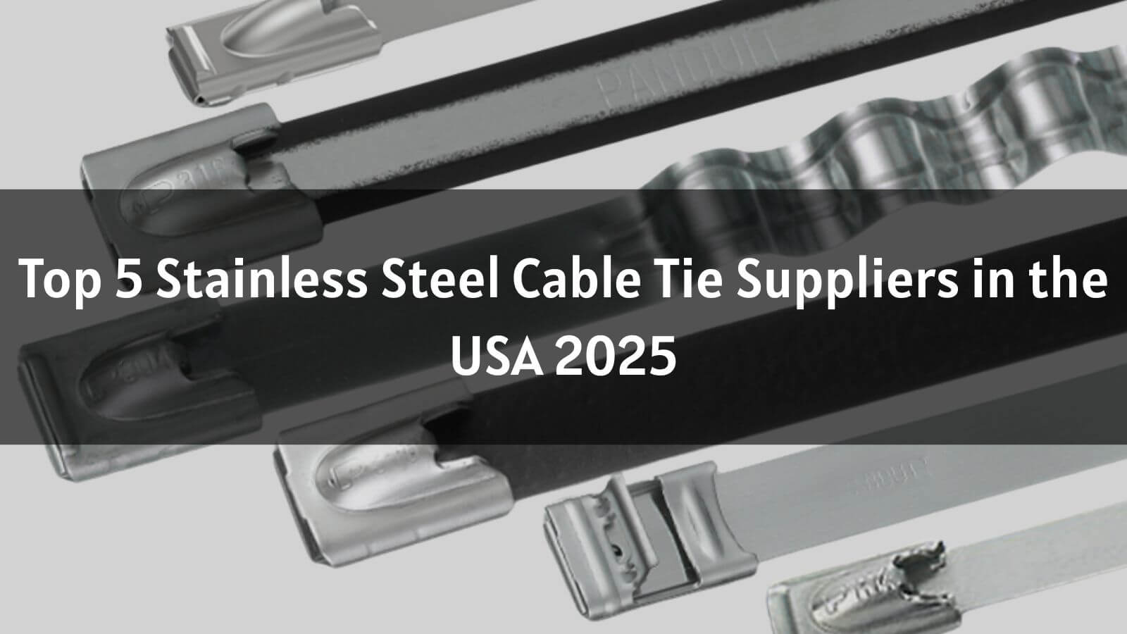 Top 5 Stainless Steel Cable Tie Suppliers in the USA 2025 - Lonyou
